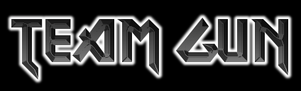 Team Gun logo. Free logo maker.