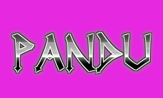 pandu logo. Free logo maker.