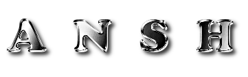 A N S H logo. Free logo maker.