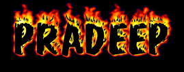 pradeep logo. Free logo maker.