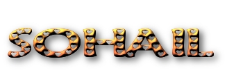 sohail logo. Free logo maker.