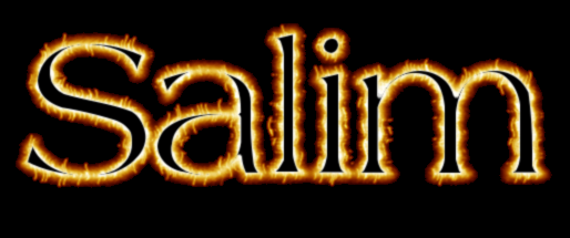 Salim logo. Free logo maker.