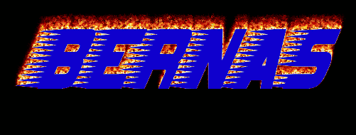 Bernas logo. Free logo maker.