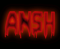 Ansh Logo Ansh Technologies – A Trusting Company To Serve Your