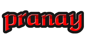 Pranay Name Logo