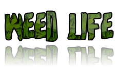 WEED LIFE logo. Free logo maker.