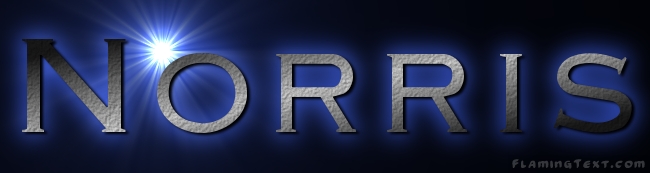 Norris logo. Free logo maker.