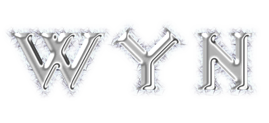 WYN logo. Free logo maker.