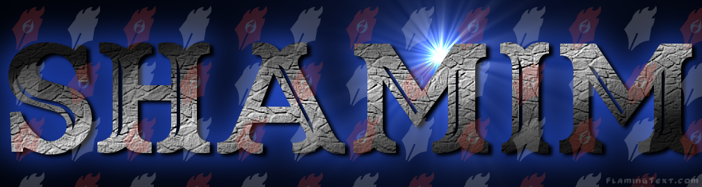 Shamim Logo Shamim Mart