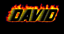 david logo. Free logo maker.