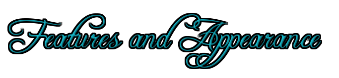 Features and Appearance logo. Free logo maker.