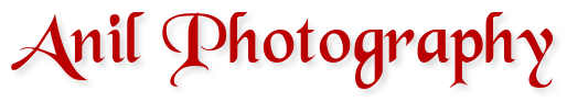 Anil Photography logo. Free logo maker.