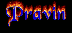 Pravin logo. Free logo maker.