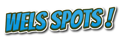 Wels Spots ! logo. Free logo maker.