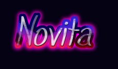 Novita logo. Free logo maker.