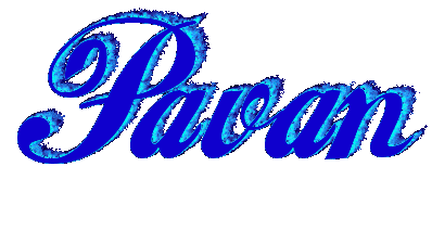 Pavan logo. Free logo maker.