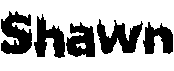 Shawn logo. Free logo maker.