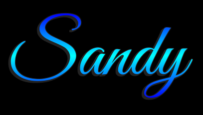Sandy logo. Free logo maker.