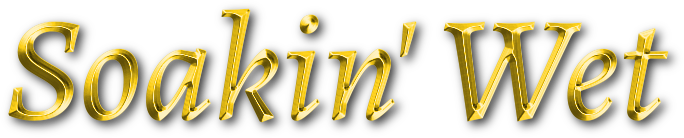 Soakin' Wet logo. Free logo maker.