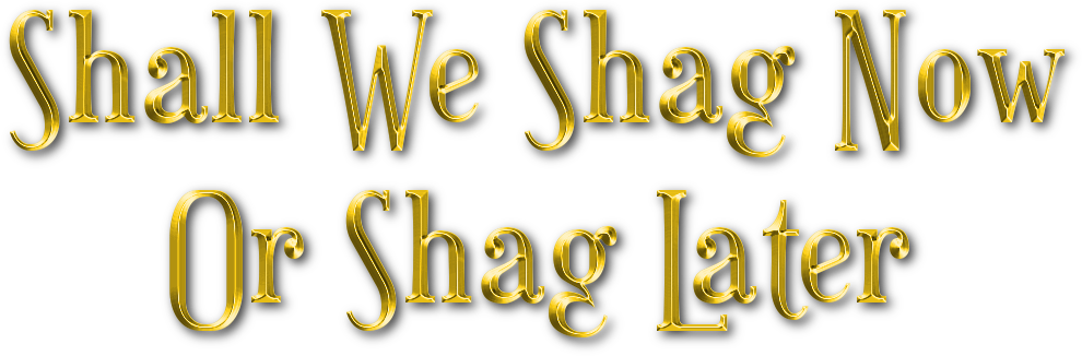 Shall We Shag Now Or Shag Later logo. Free logo maker.