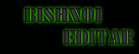 BISHNOI EDITAR logo. Free logo maker.