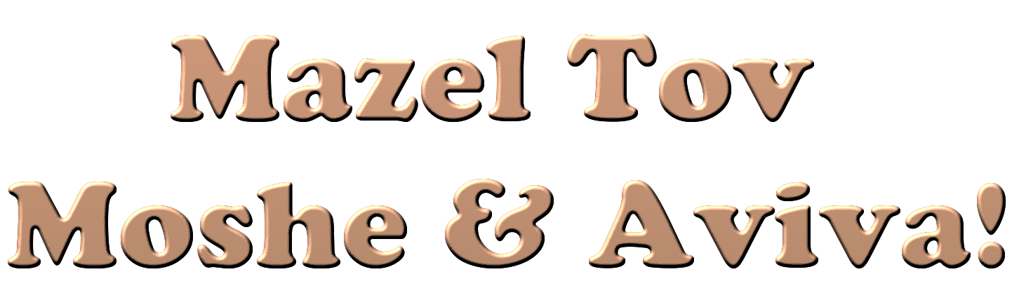 Mazel Tov Moshe & Aviva! logo. Free logo maker.