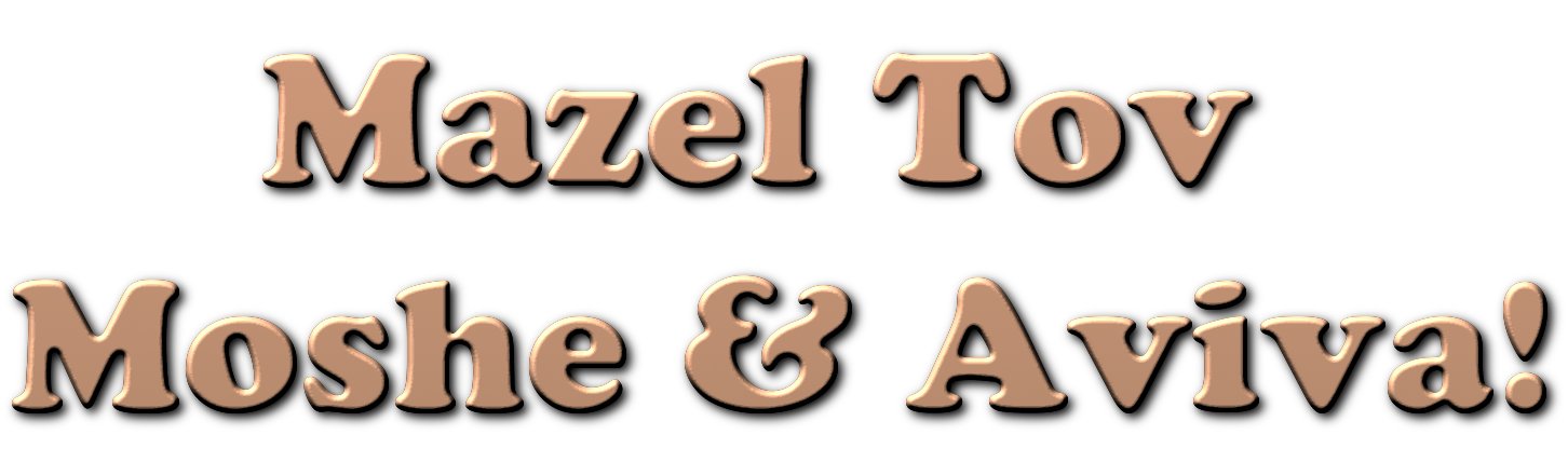 Mazel Tov Moshe & Aviva! logo. Free logo maker.