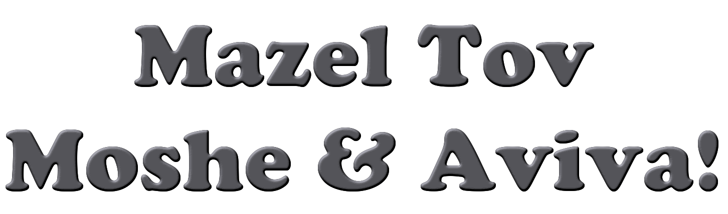 Mazel Tov Moshe & Aviva! logo. Free logo maker.