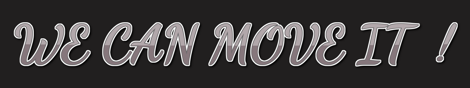 WE CAN MOVE IT ! logo. Free logo maker.