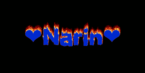 Narin logo. Free logo maker.
