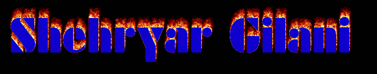 Shehryar Gilani logo. Free logo maker.