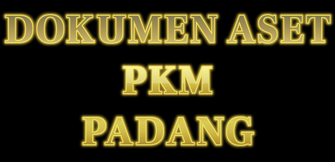DOKUMEN ASET PKM PADANG logo. Free logo maker.