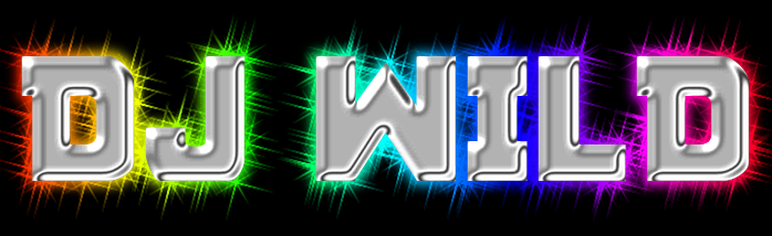 DJ wILD logo. Free logo maker.