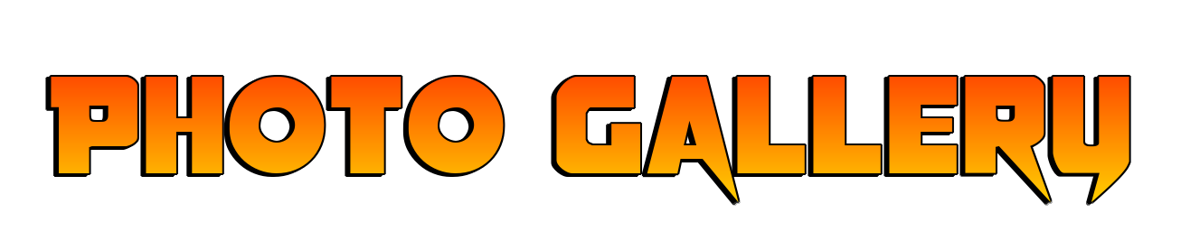 Photo Gallery logo. Free logo maker.