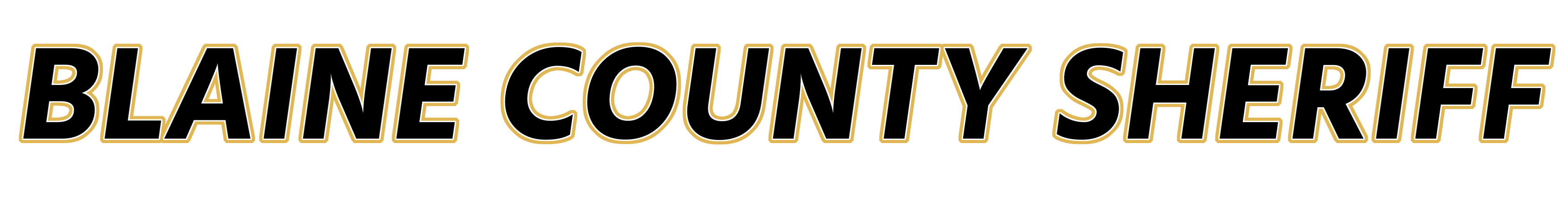 BLAINE COUNTY SHERIFF logo. Free logo maker.