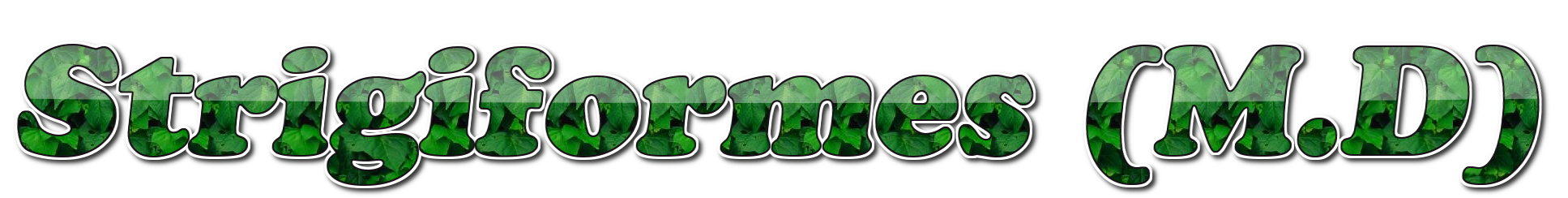 Strigiformes (M.D) logo. Free logo maker.