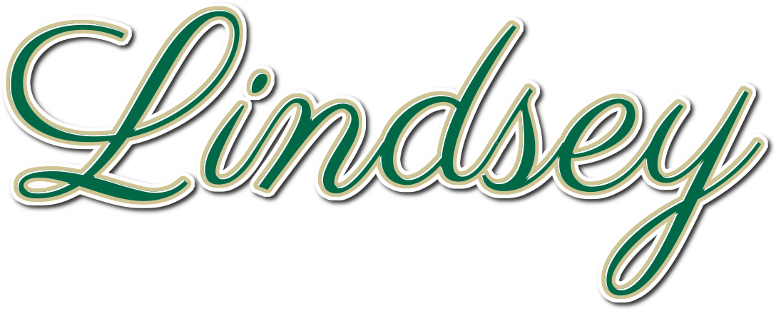 Lindsey logo. Free logo maker.