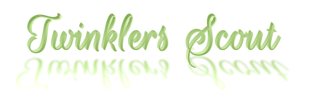 Twinklers Scout logo. Free logo maker.