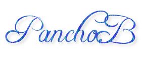 Pancho.B logo. Free logo maker.