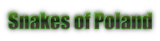 Snakes of Poland logo. Free logo maker.